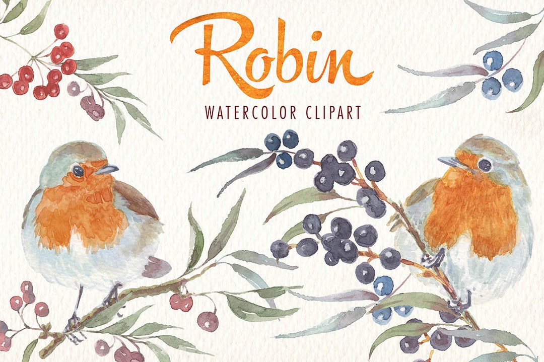 Watercolor Robin Bird Png Clipart Watercolor Clipart Ideal Printable ...
