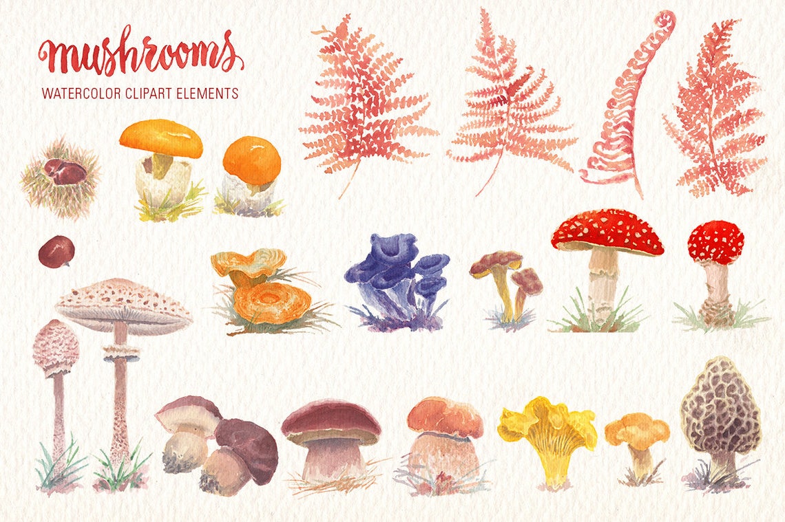 Mushrooms Watercolor Clipart Set - Etsy