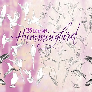 Hummingbirds and Tropical Flowers Watercolor Clipart - Etsy