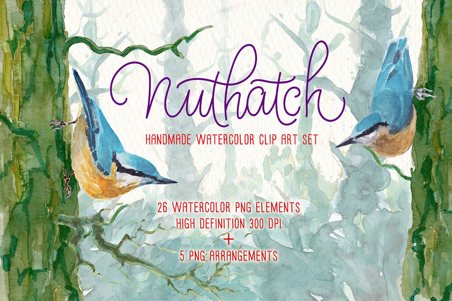 Watercolor Nuthatch Bird Png Clipart. Watercolor Clip Art. Ideal for ...