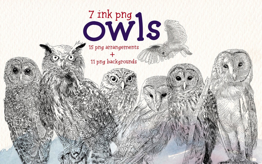 Ink Owls Clipart - Etsy