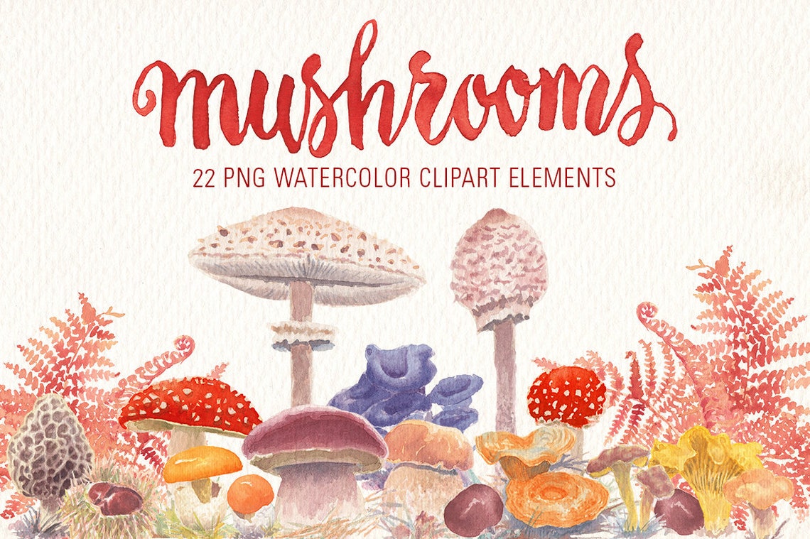 Mushrooms Watercolor Clipart Set - Etsy