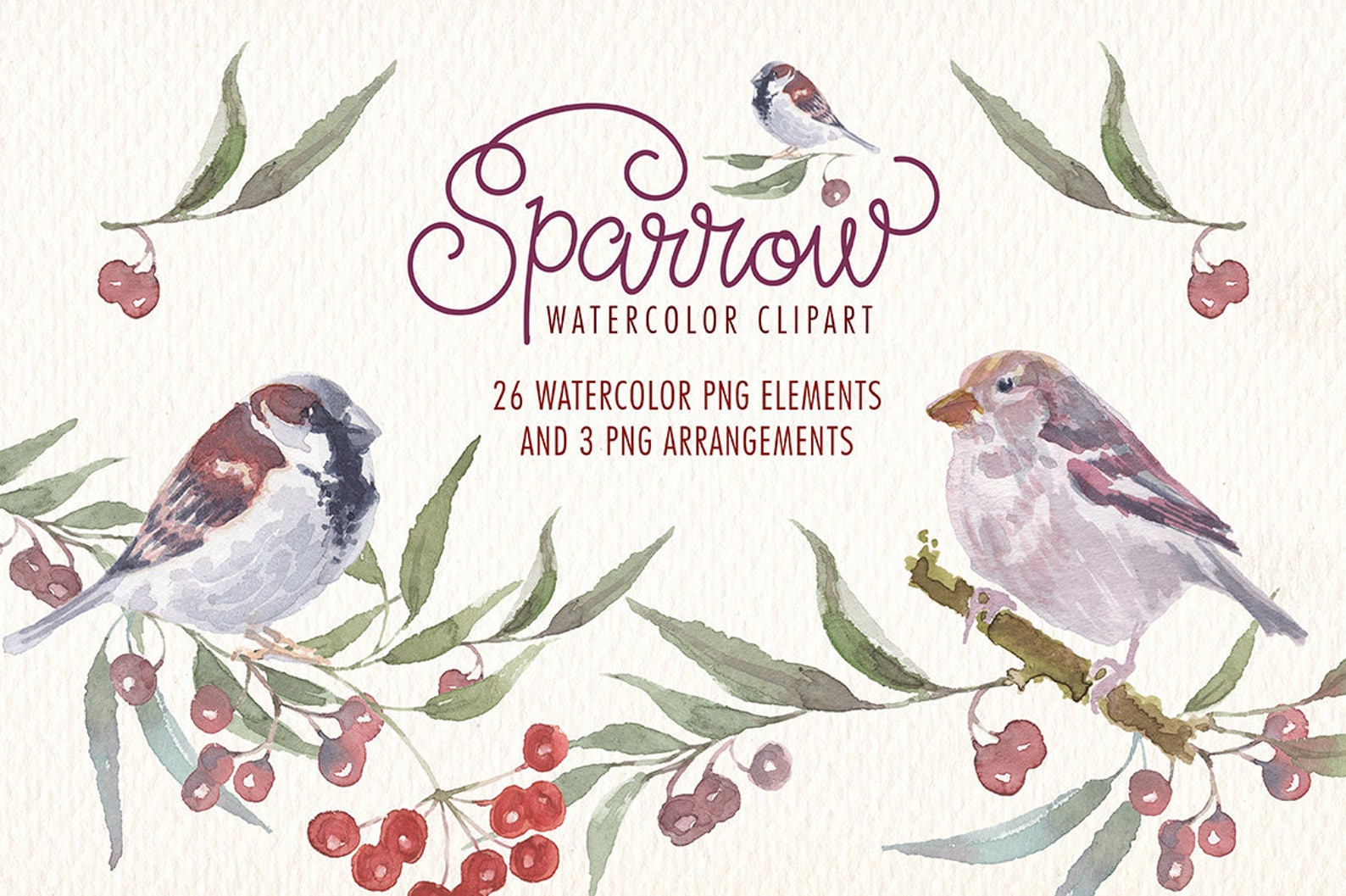 Watercolor Sparrow Bird Png Clipart. Watercolor Clip Art. Ideal for ...