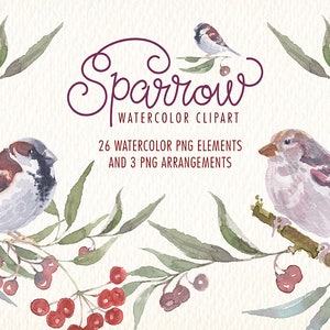 Watercolor Sparrow Bird Png Clipart. Watercolor Clip Art. Ideal for ...