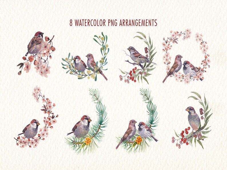 Sparrow Bird Watercolor Clipart Set Design Elements Collection - Etsy