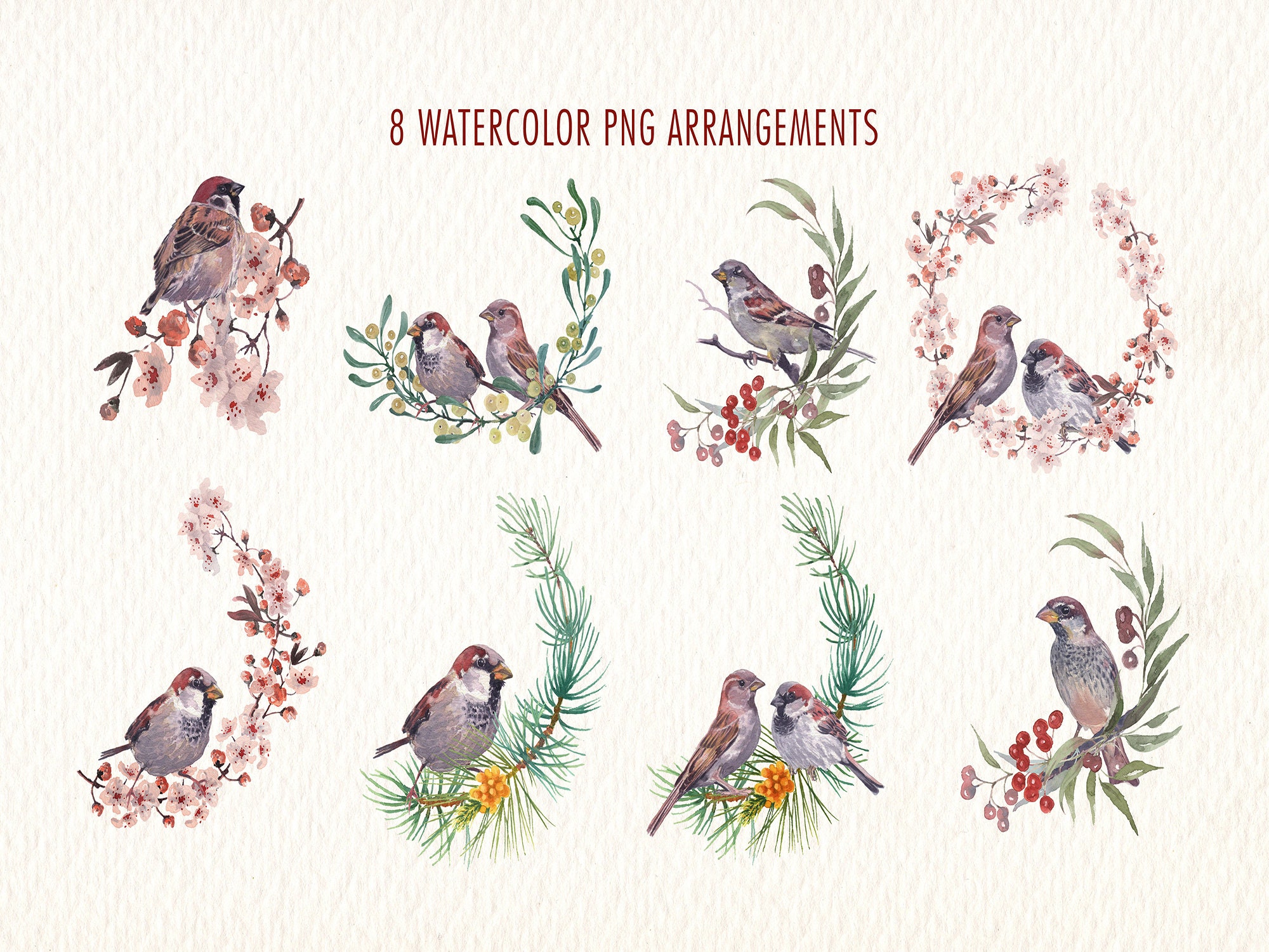 Sparrow Bird Watercolor Clipart Set Design Elements Collection - Etsy