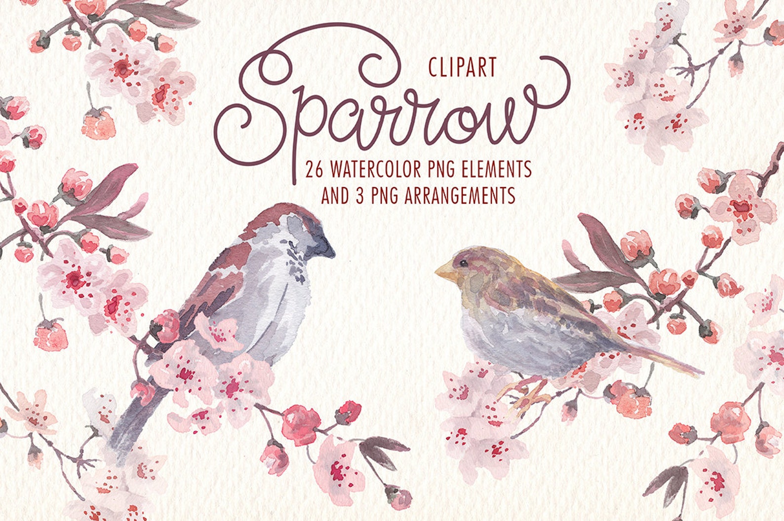 Watercolor Sparrow Bird Png Clipart. Watercolor Clip Art. Ideal for ...