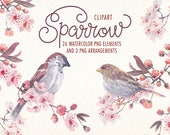 Watercolor Sparrow Bird PNG Clipart Watercolor Clip Art Ideal - Etsy