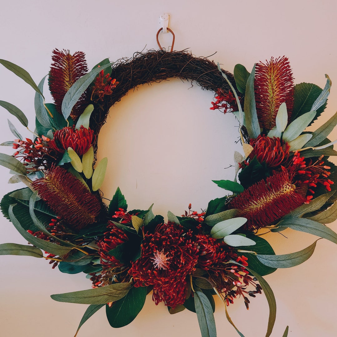 Australian Native Burgundy /red 60cm Banksia, Pincushion Proteas Bush ...