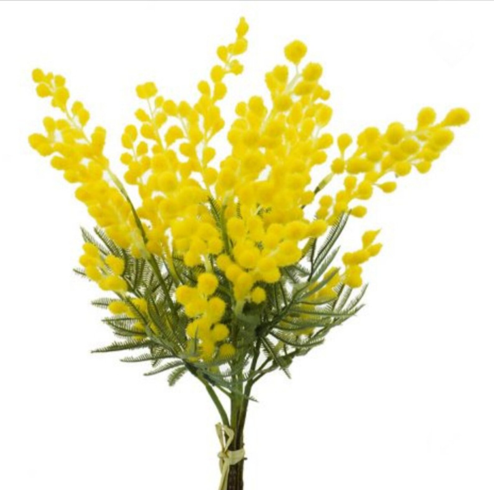 Yellow Wattle Mimosa Flower Bouquet 5 Stems | Wedding Bouquet | Flower ...