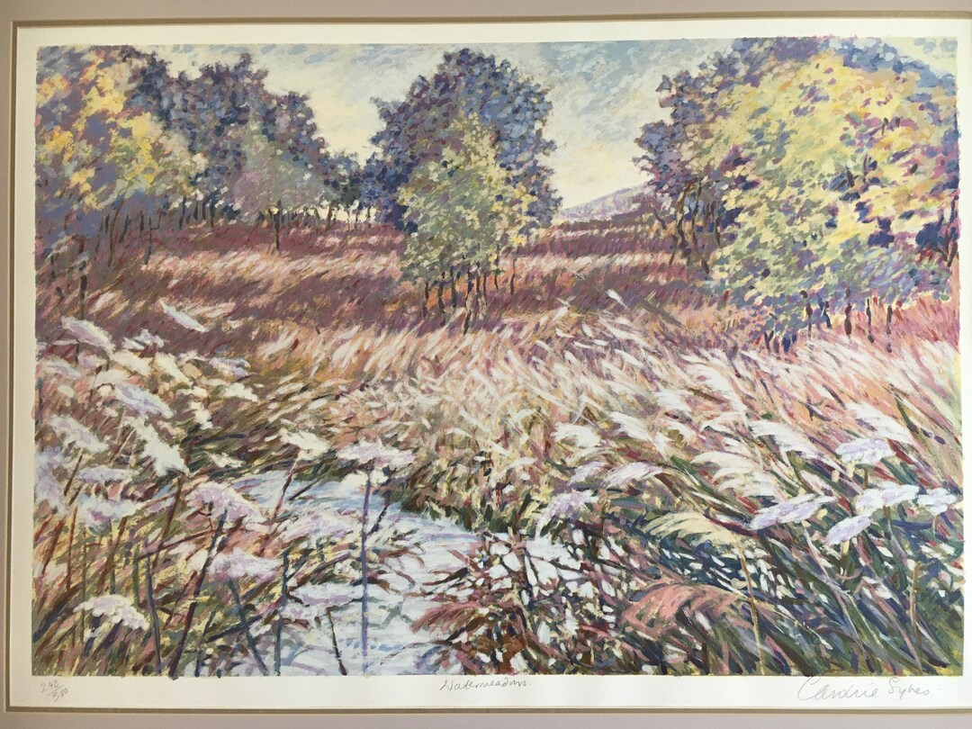 Caroline Sykes Lithography “water Meadow “-limited Edition #248 Out of ...