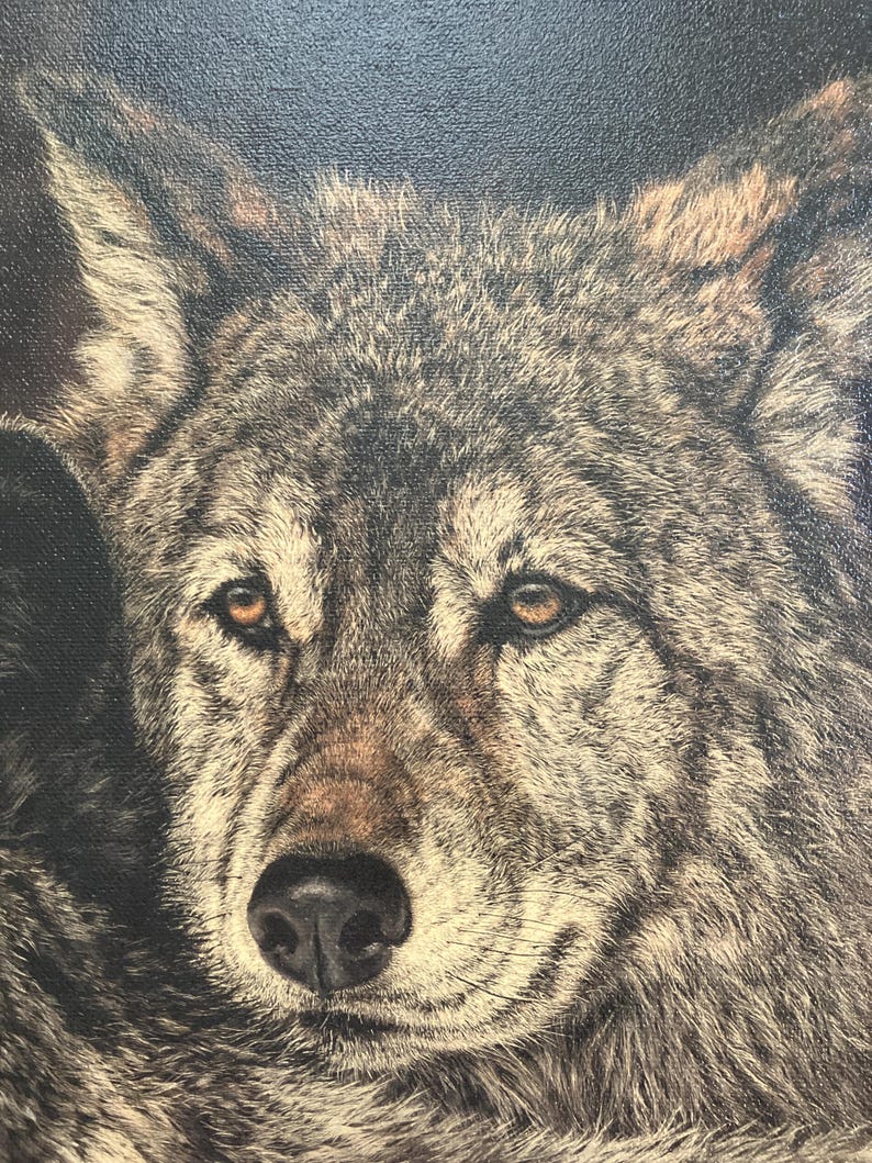 Judy Larson Wolves Limited Edition Print on Canvas Numbered 208 Out of ...