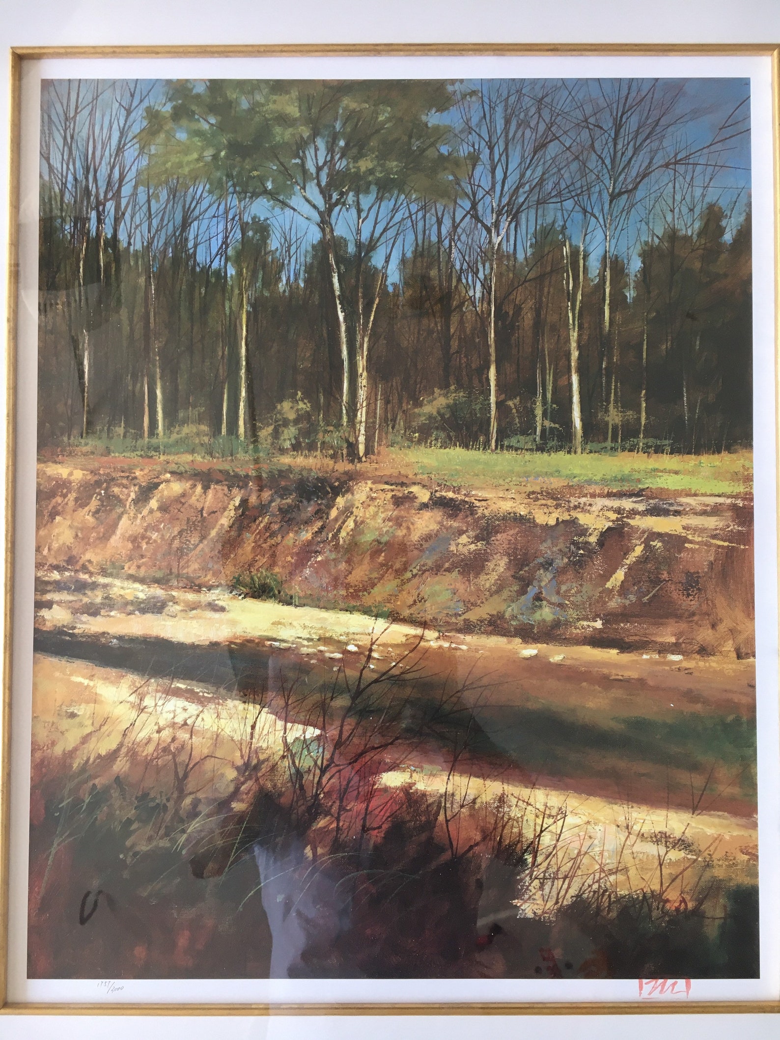 Sanders Mcneal Limited Edition Nicely Framed Print-signed and - Etsy