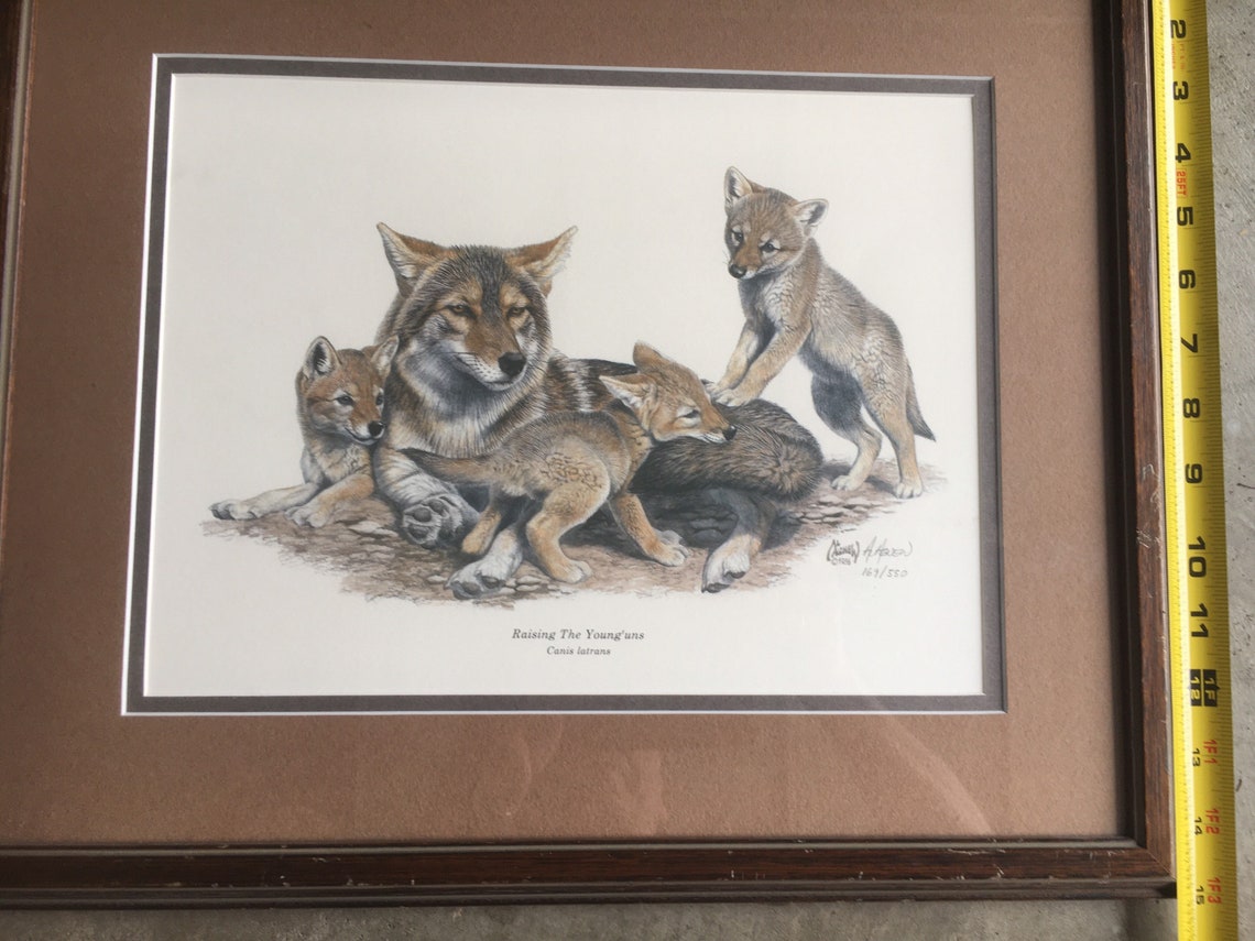 Al Agnew Limited Edition Print Signed by the Artist 1988.small | Etsy