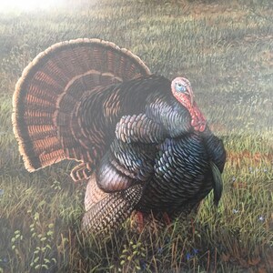 Sam Timm Limited Edition Signed and Numbered by the Artist Print ...