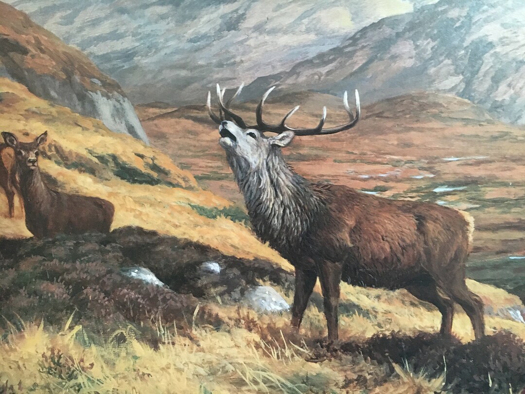 Elizabeth Halstead Art Print 18x24 - Etsy