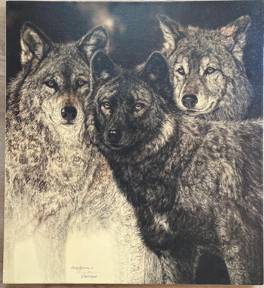 Judy Larson Wolves Limited Edition Print on Canvas Numbered 208 Out of ...