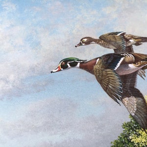 Harold Roe Limited Edition Signed and Numbered Print 22x30”-24 US ...