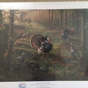 Sam Timm Limited Edition Signed and Numbered by the Artist Print ...