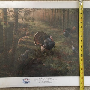 Sam Timm Limited Edition Signed and Numbered by the Artist Print ...