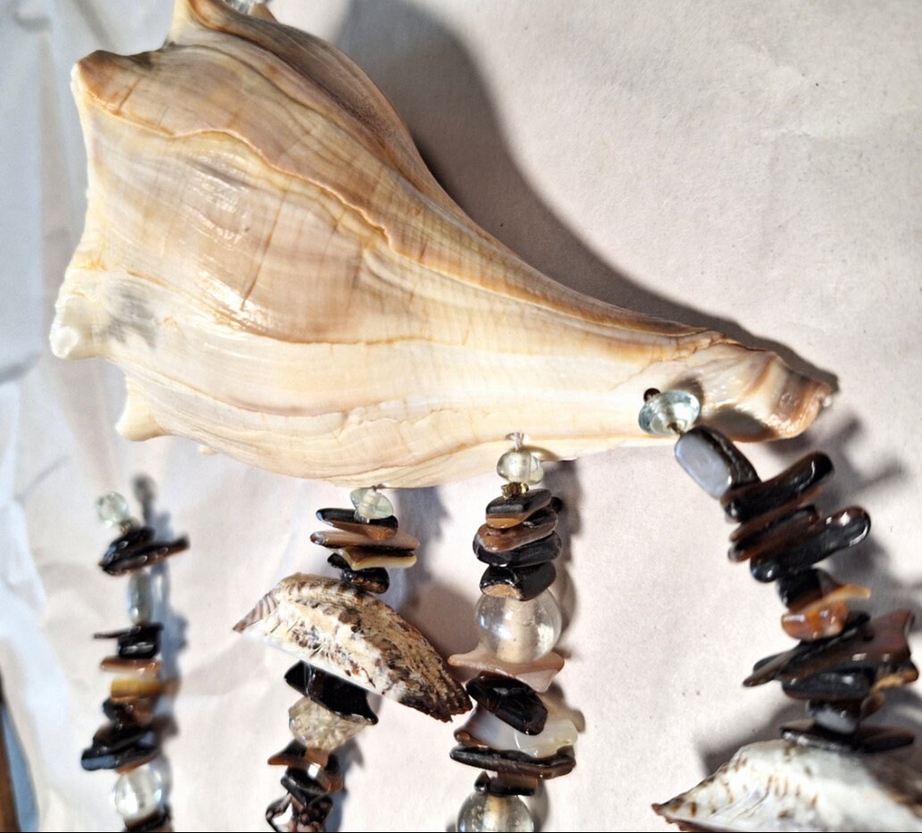 Whelk Shell Holds Three Strands of Facinating Beach Finds. This Piece ...