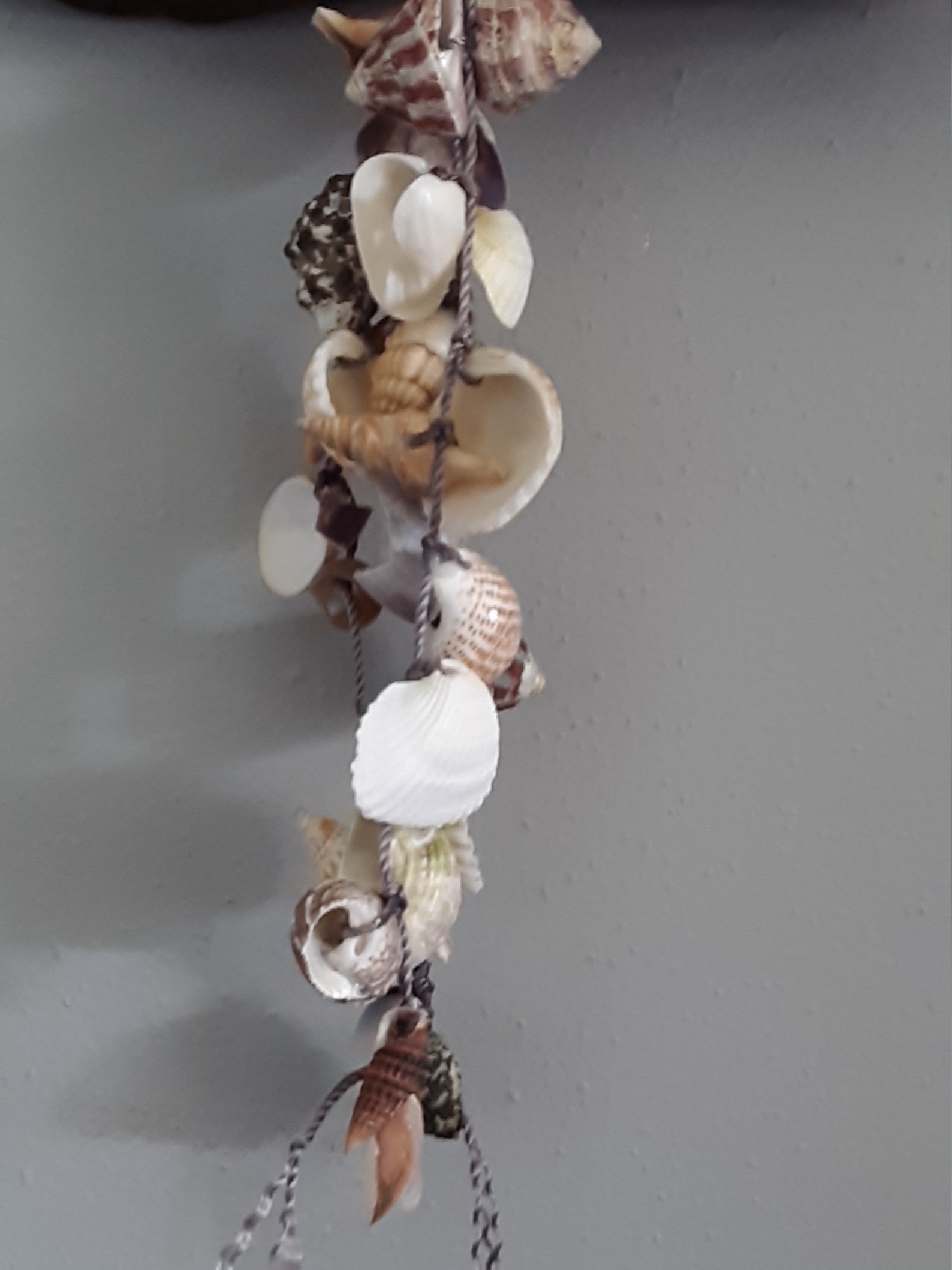 Hand Strung Sea Shells - Etsy