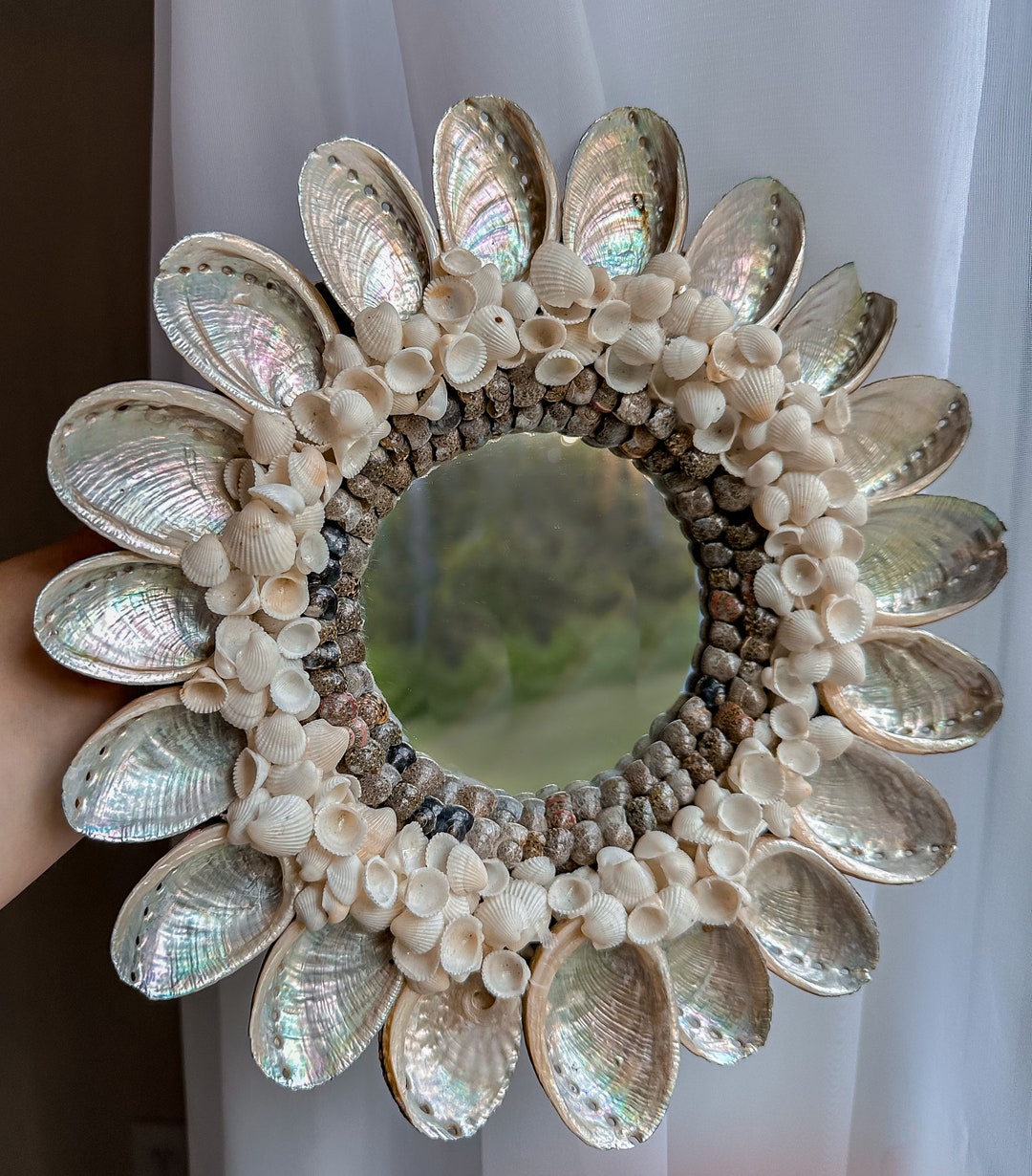 Oregon Coast Abalone Shell Mirror - Etsy