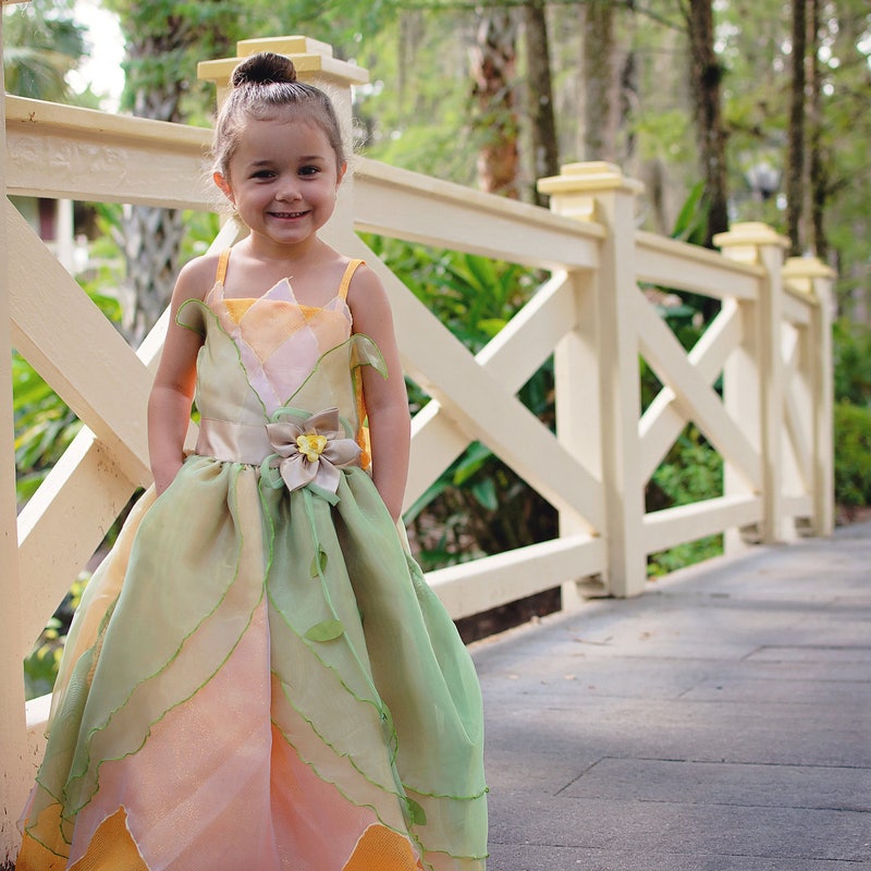 Baby Princess Dress - Etsy