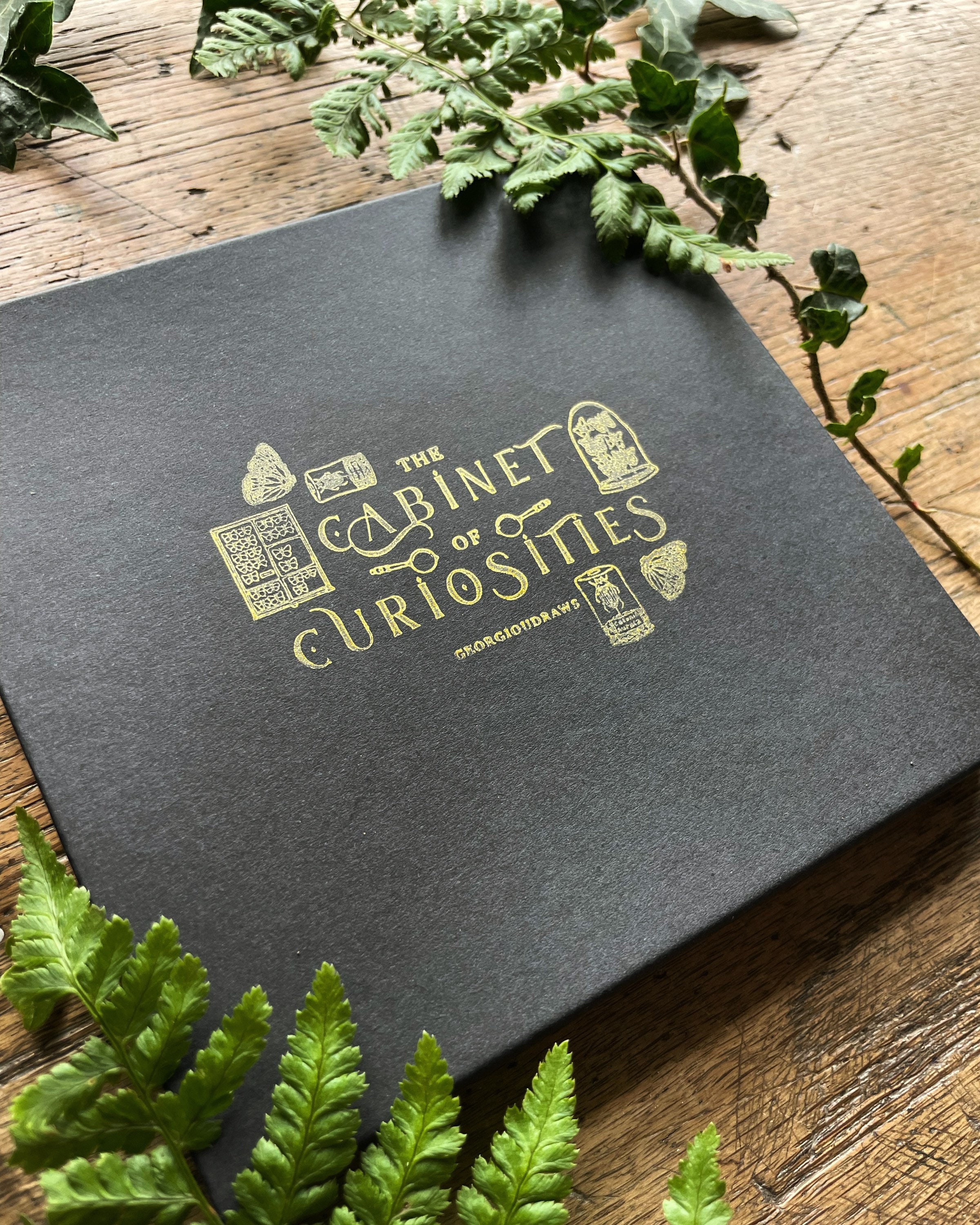 Cabinet of Curiosities Luxury Enamel Pin Box Set - Etsy