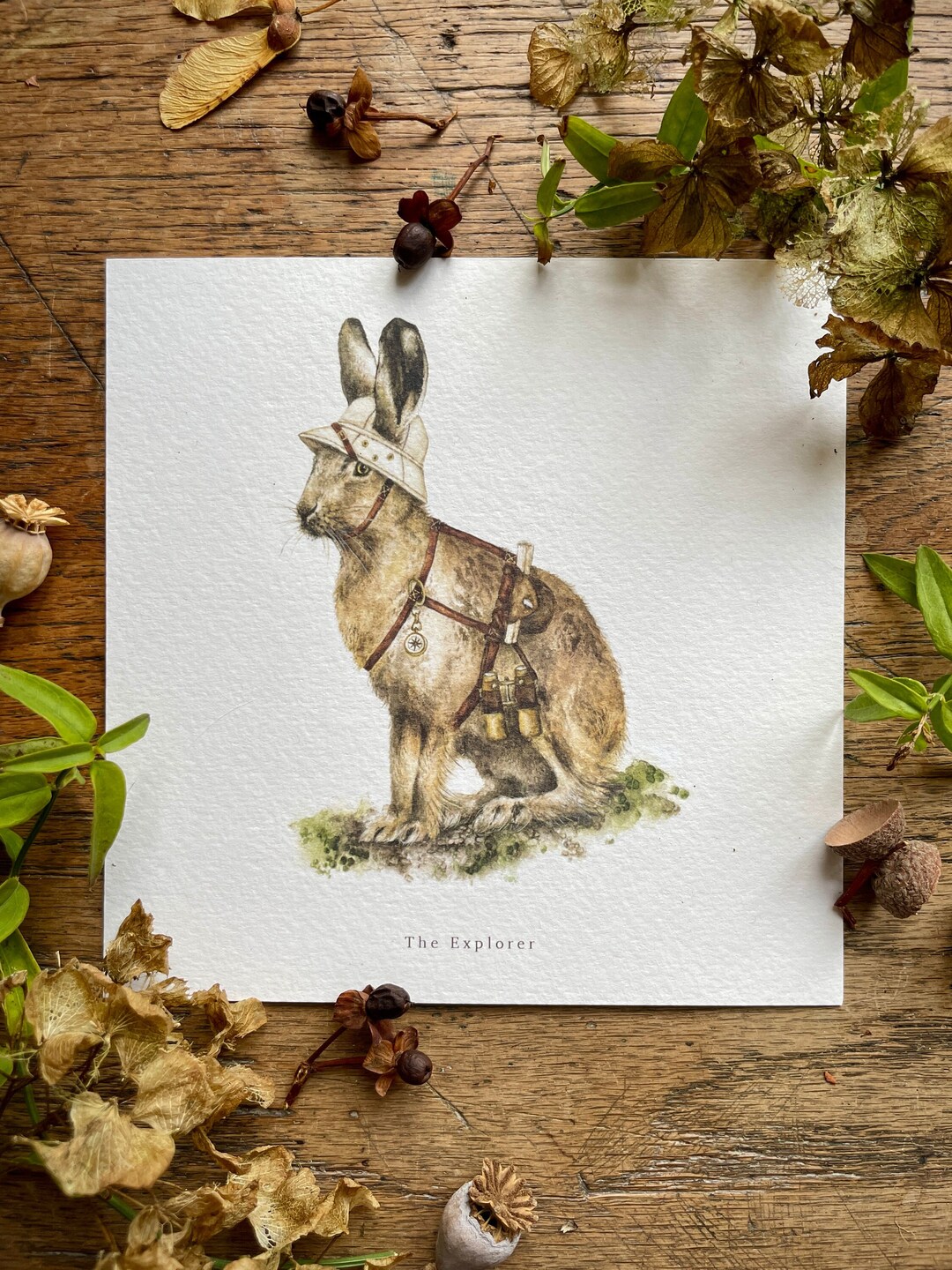 The Explorer Whimsical Animal Square Watercolour Art Print - Etsy UK