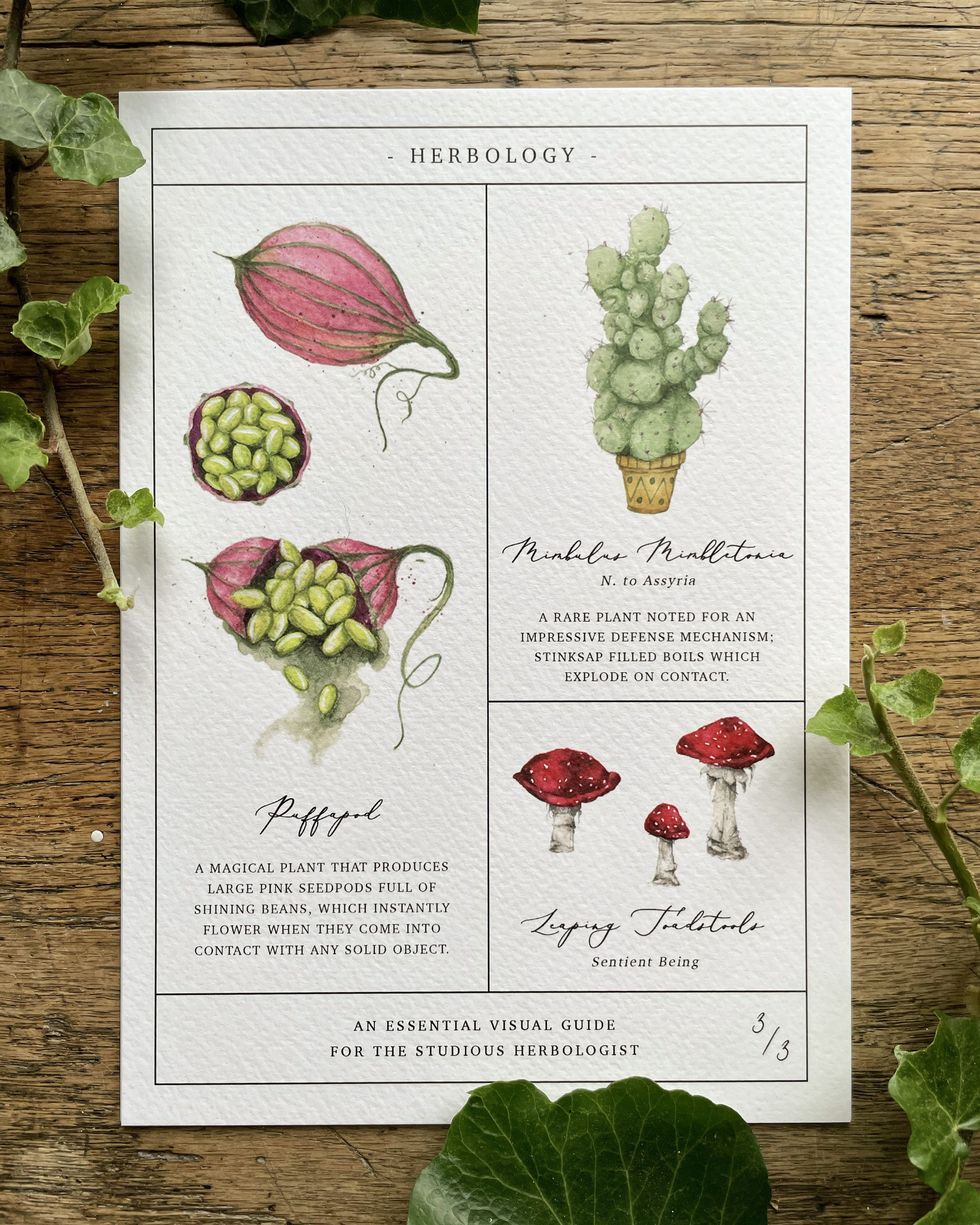 Herbology Chart A4 Print Set - Etsy