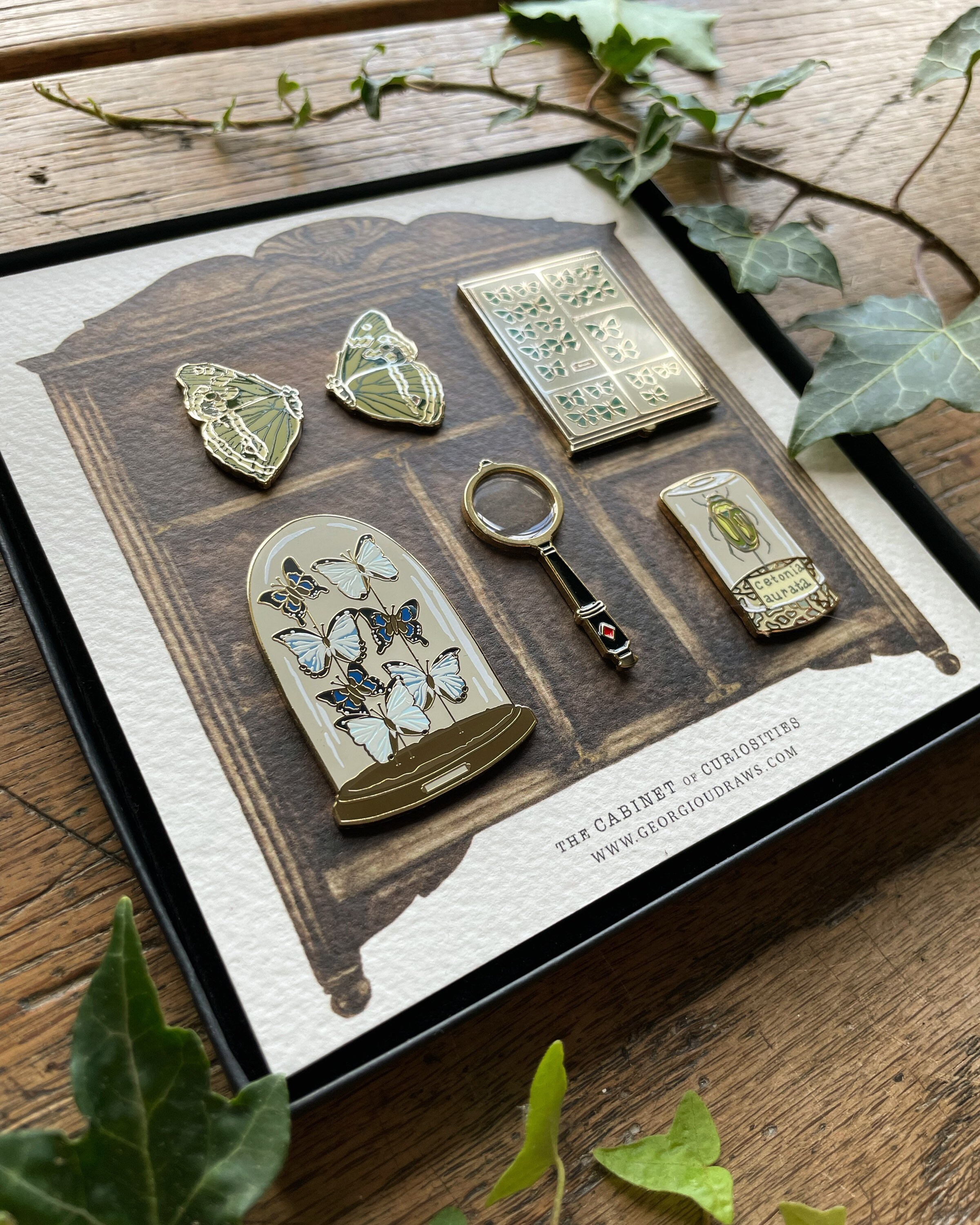 Cabinet of Curiosities Luxury Enamel Pin Box Set - Etsy
