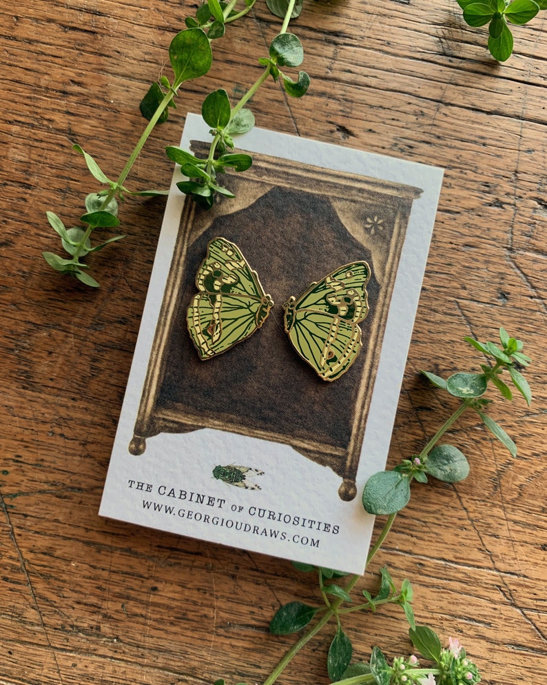 Butterfly Wings Enamel Pin Badge Set | Entomology Taxidermy Art - Etsy