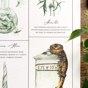 Potion Making Ingredients Watercolour A4 Art Print - Etsy