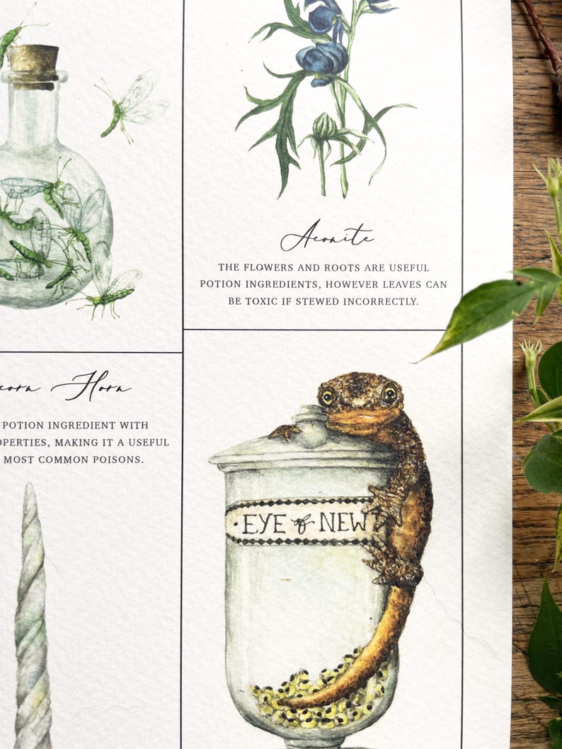 Potion Making Ingredients Watercolour A4 Art Print - Etsy