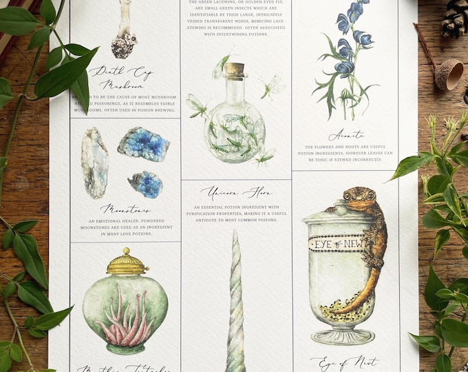 Potion Making Ingredients Watercolour A4 Art Print - Etsy