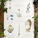 Potion Making Ingredients Watercolour A4 Art Print - Etsy