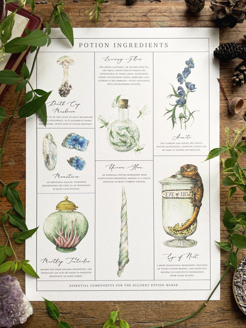 Potion Making Ingredients Watercolour A4 Art Print - Etsy