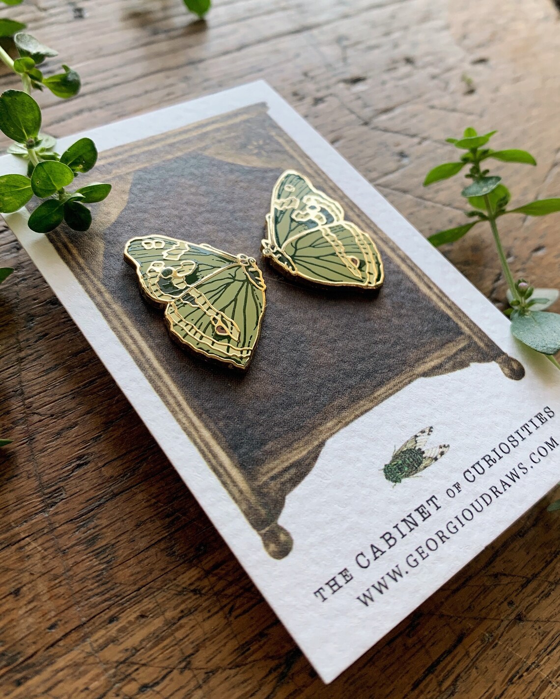 Butterfly Wings Enamel Pin Badge Set | Entomology Taxidermy Art - Etsy