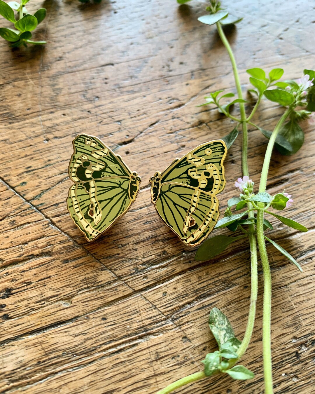 Butterfly Wings Enamel Pin Badge Set | Entomology Taxidermy Art - Etsy