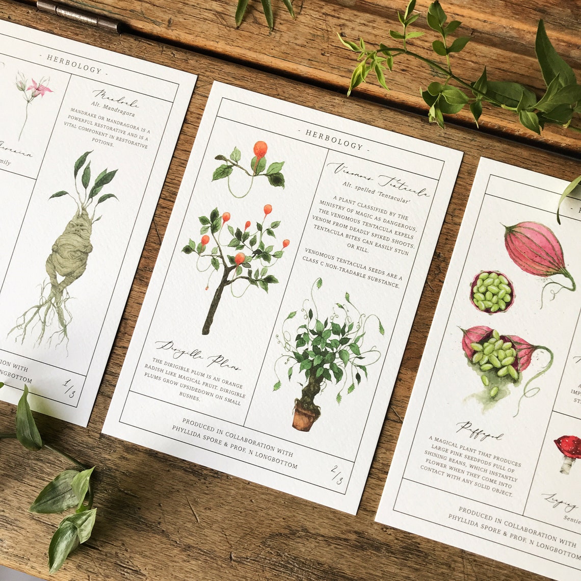 Herbology Chart A4 Print Set | Etsy