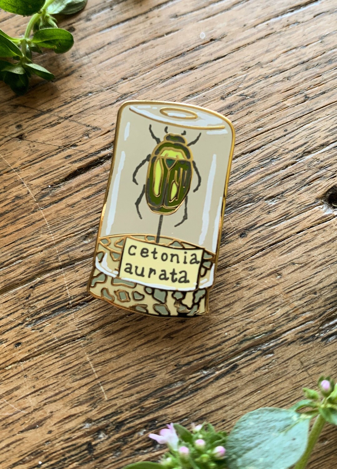 Beetle Specimen Jar Entomology Enamel Pin Badge - Etsy
