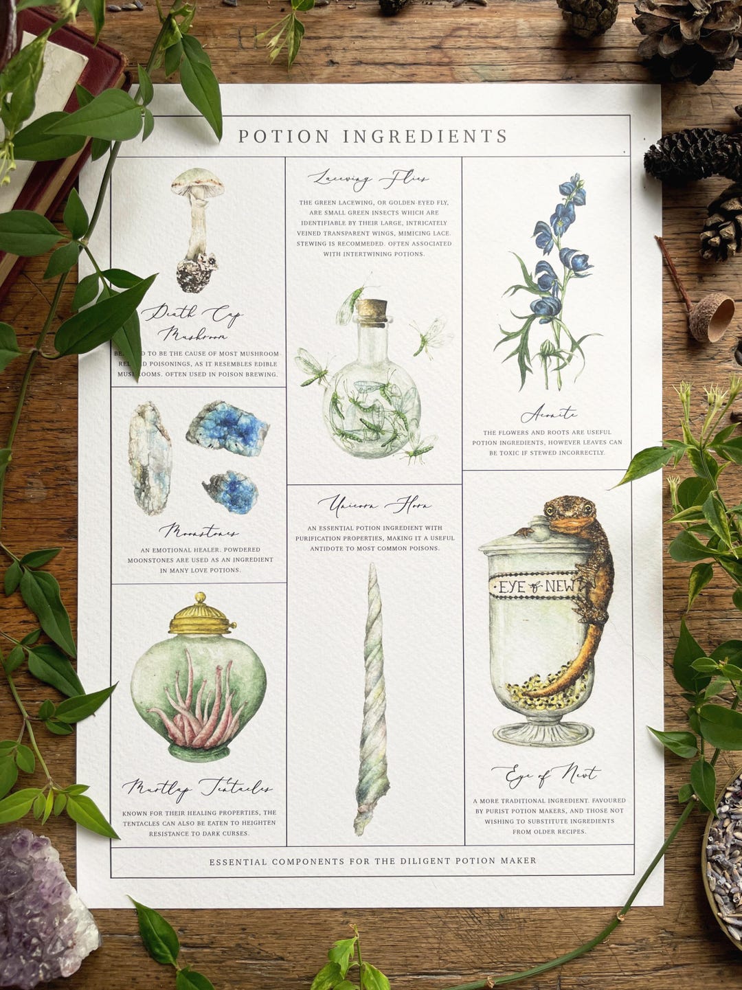 Potion Making Ingredients Watercolour A3 Art Print - Etsy