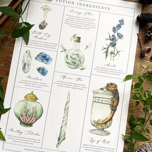 Potion Making Ingredients Watercolour A4 Art Print - Etsy