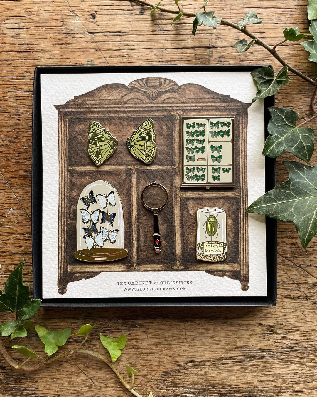 Cabinet of Curiosities Luxury Enamel Pin Box Set - Etsy
