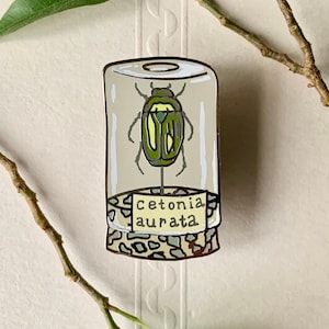 Beetle Specimen Jar Entomology Enamel Pin Badge - Etsy