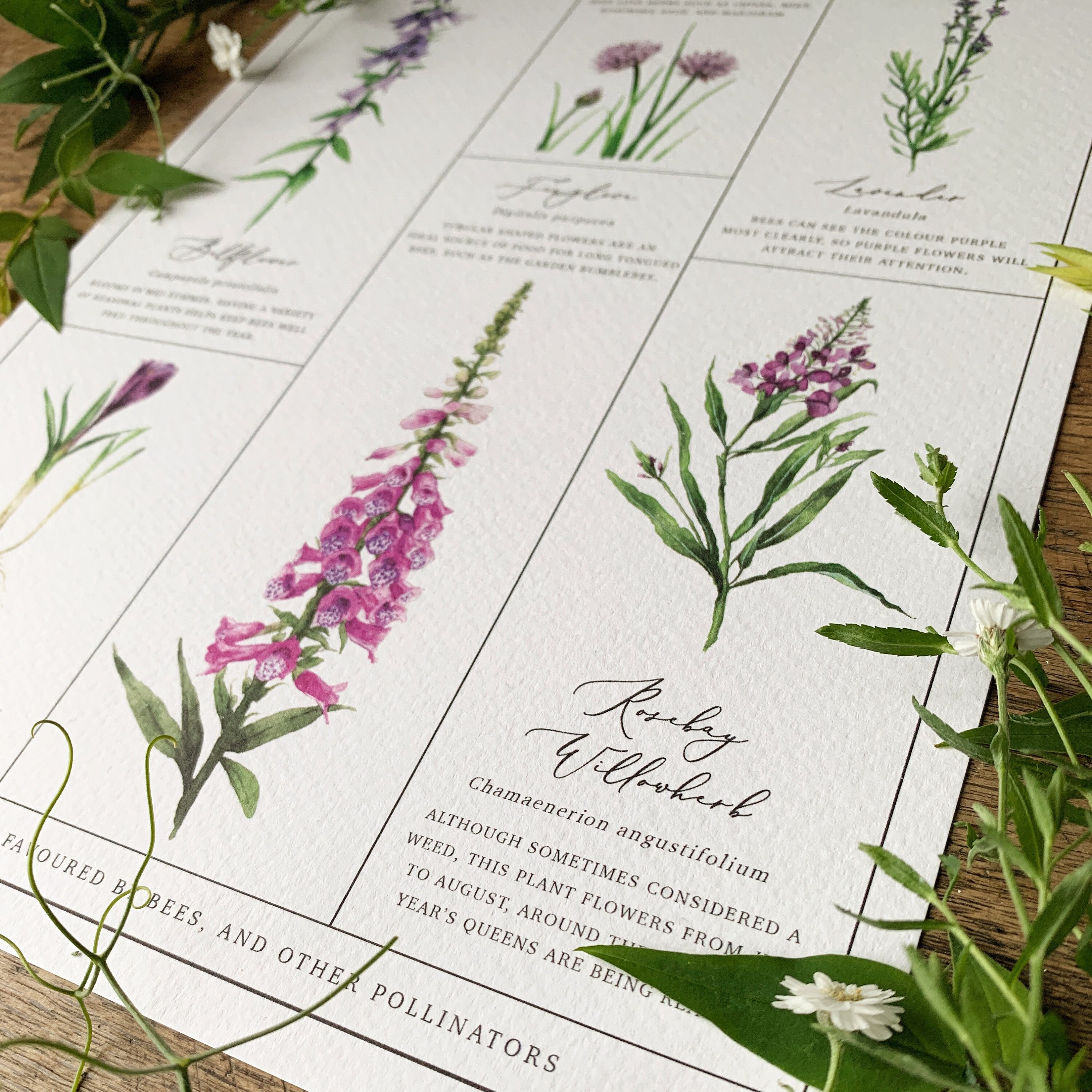 Flowers for Pollinators Chart A3 Print - Etsy UK