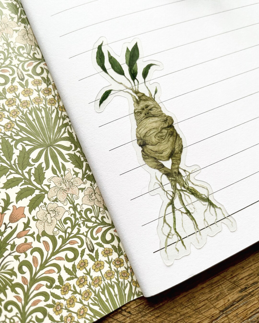 Mandrake Clear Sticker Magical Herbology Stationery Art - Etsy