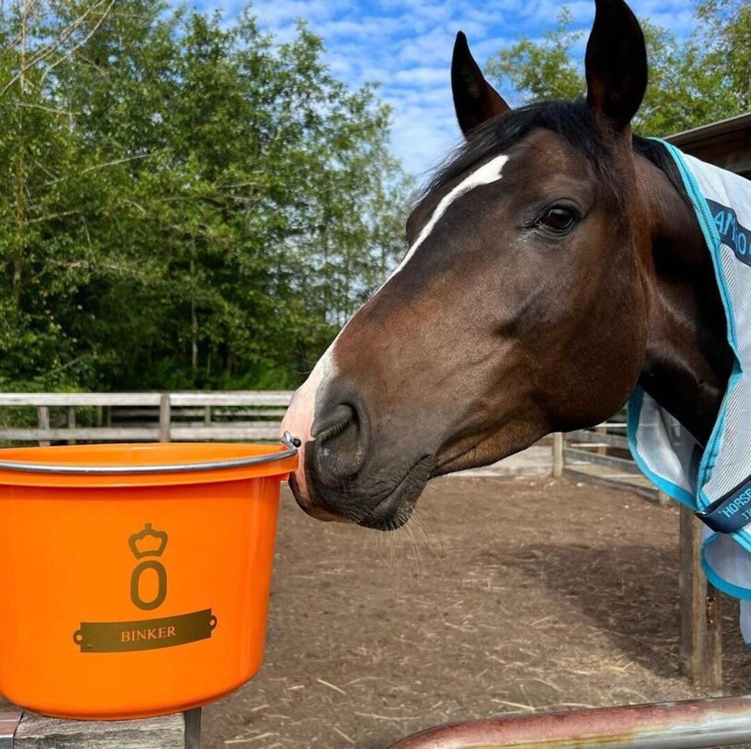 The Breed Logo Nameplate Decal - Etsy