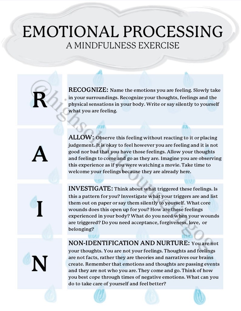 Emotional Regulation & Processing Worksheet. Emotional Regulation for ...
